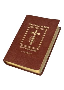 New American Bible (NABRE) - Bible - Books | Pauline Books and Media