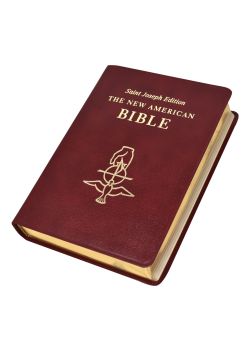 New American Bible (NABRE) - Bible - Books | Pauline Books and Media
