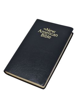New American Bible (NABRE) - Catholic Bibles | Pauline Books and Media
