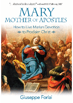 Blessed Virgin Mary Books – Mariology & Theology of Mary Books ...