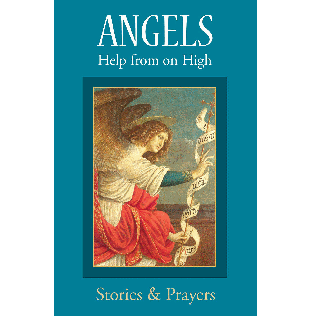 What Angels See | Pauline Books and Media